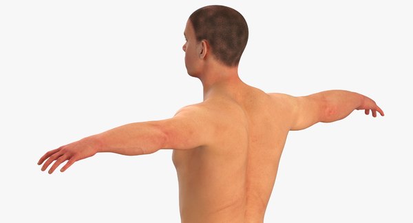 3D male human body t - TurboSquid 1559296