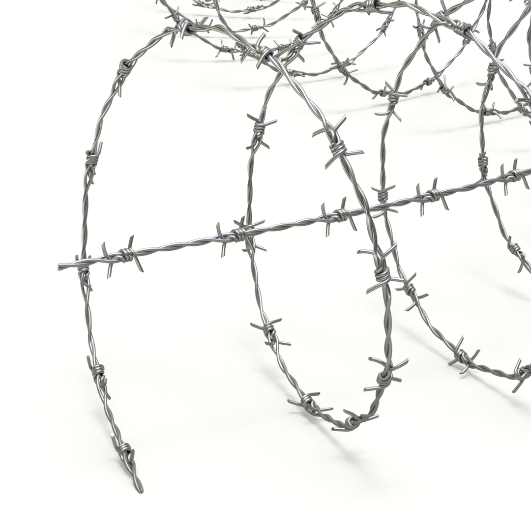 modèle 3D de Fil de fer barbelé adaptable - TurboSquid 1560312