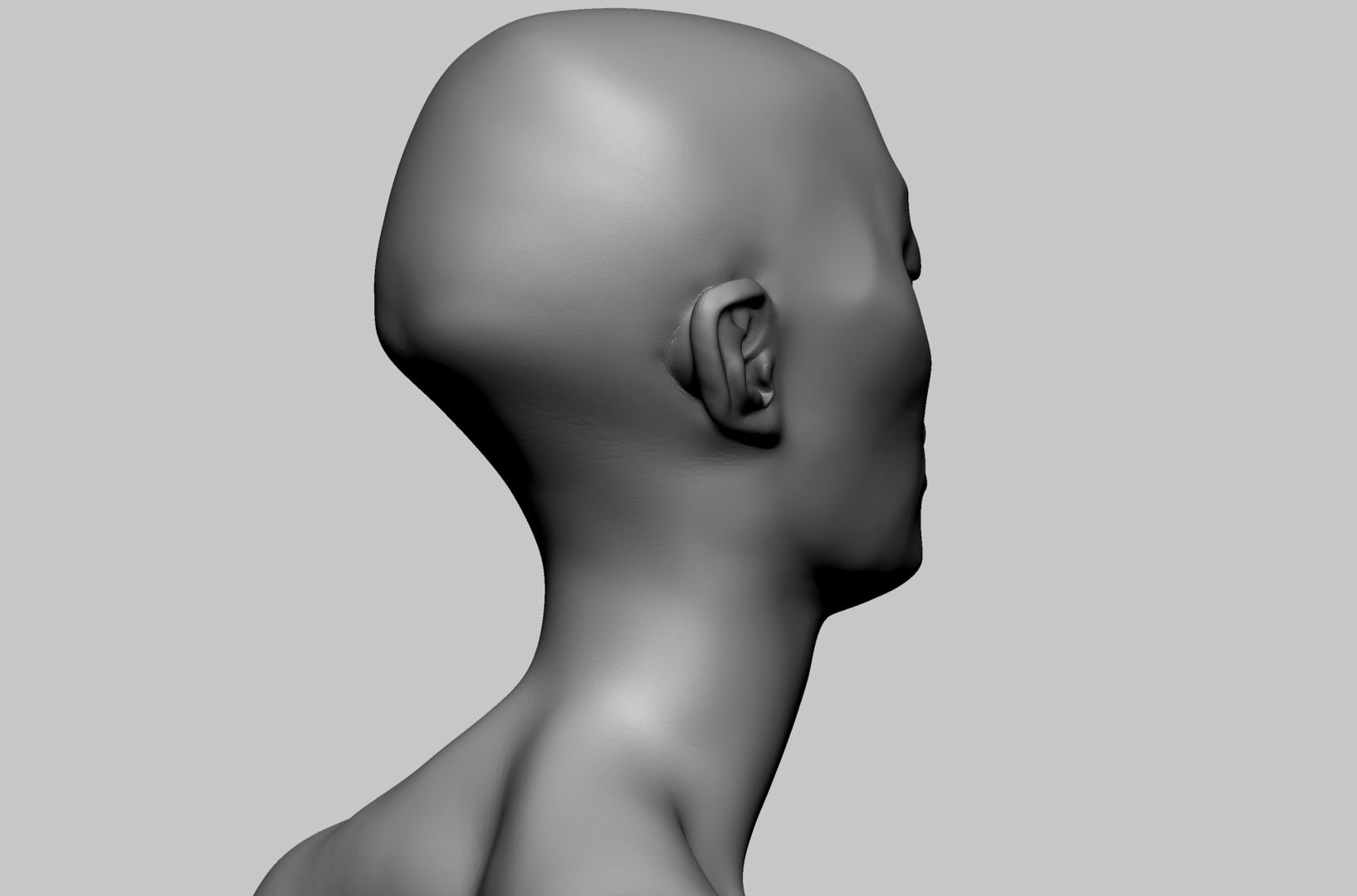 Stylized female head anatomy 3D - TurboSquid 1560429