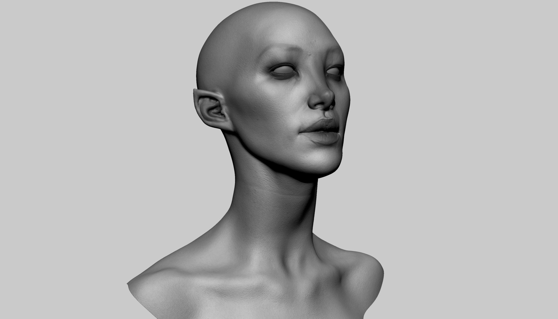 Female head anatomy 3D model - TurboSquid 1560510