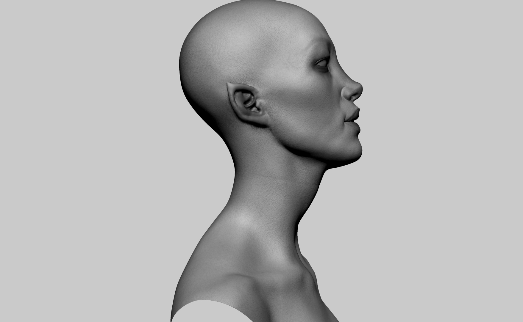 Female head anatomy 3D model - TurboSquid 1560510