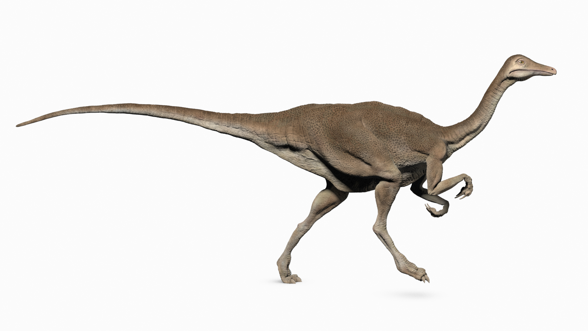 3D struthiomimus dinosaur - TurboSquid 1561254