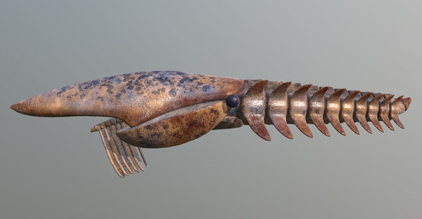 3D aegirocassis anomalocaris charnia model - TurboSquid 1561546