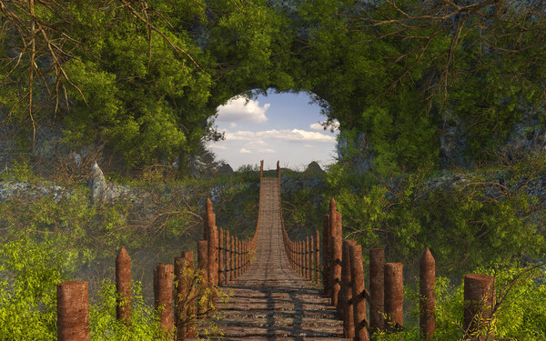 Forest Maya Models for Download | TurboSquid