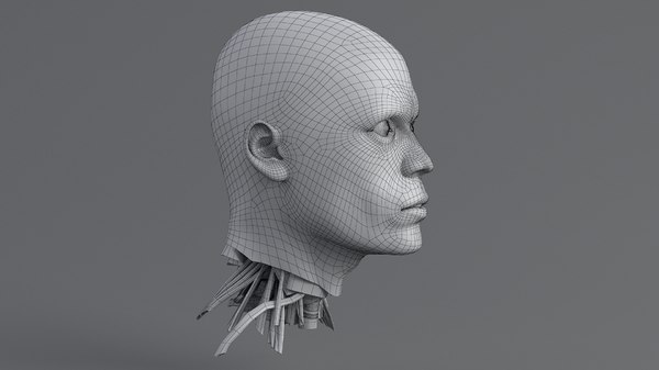 3D human head anatomy model - TurboSquid 1562236