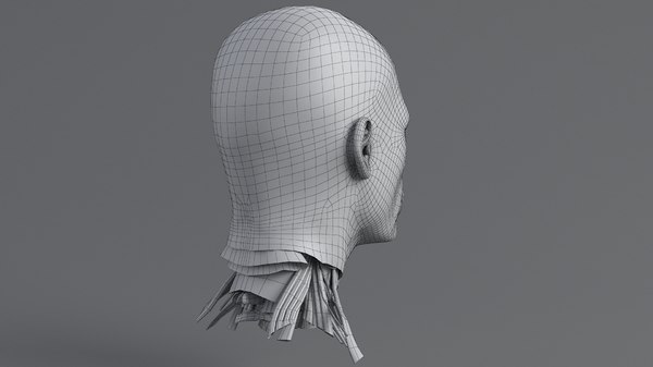 3D human head anatomy model - TurboSquid 1562236