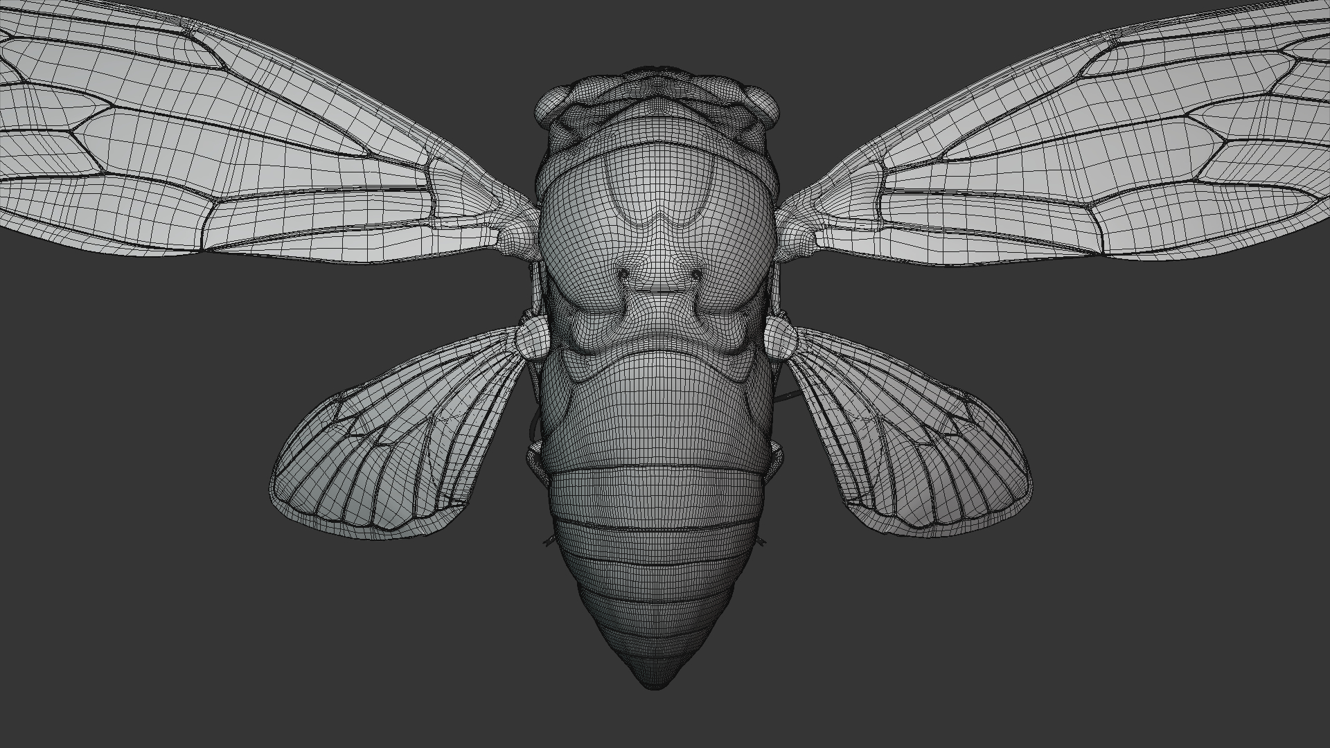 Cicada animation flying insect 3D model - TurboSquid 1562107