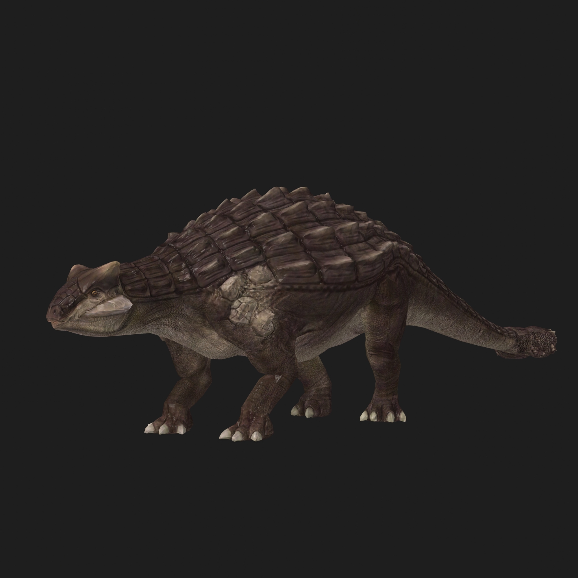 Animowany Dinozaur Ankylozaur Model 3D - TurboSquid 1562244