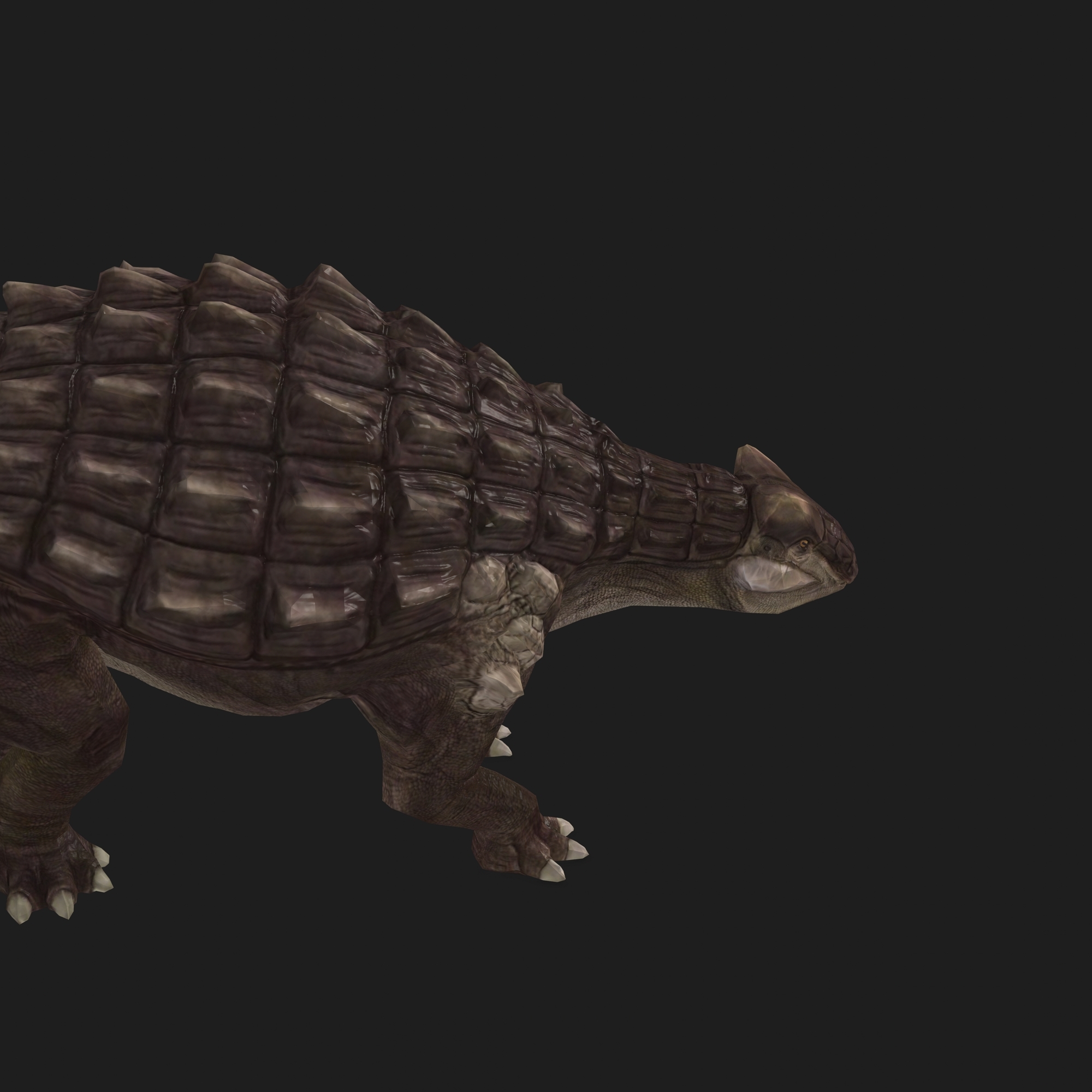 Animowany Dinozaur Ankylozaur Model 3D - TurboSquid 1562244