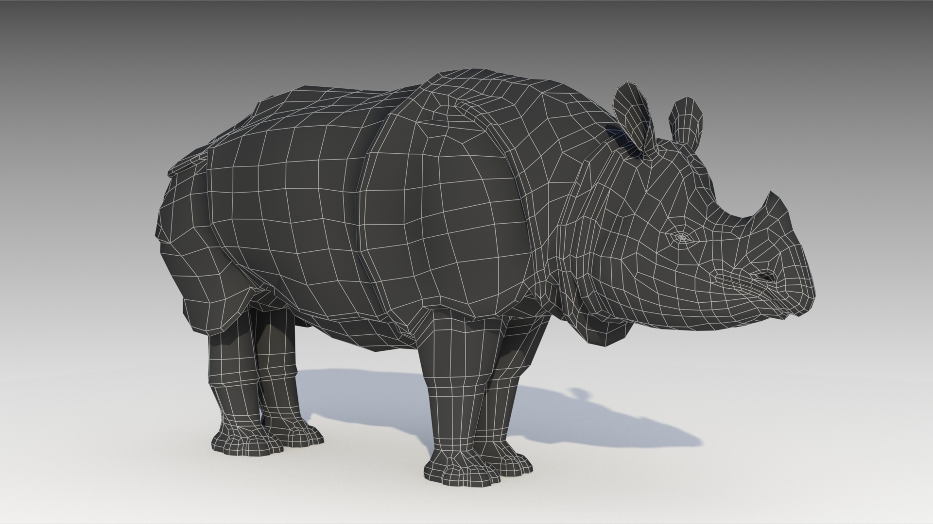asian rhinoceros animations rhino 3d max