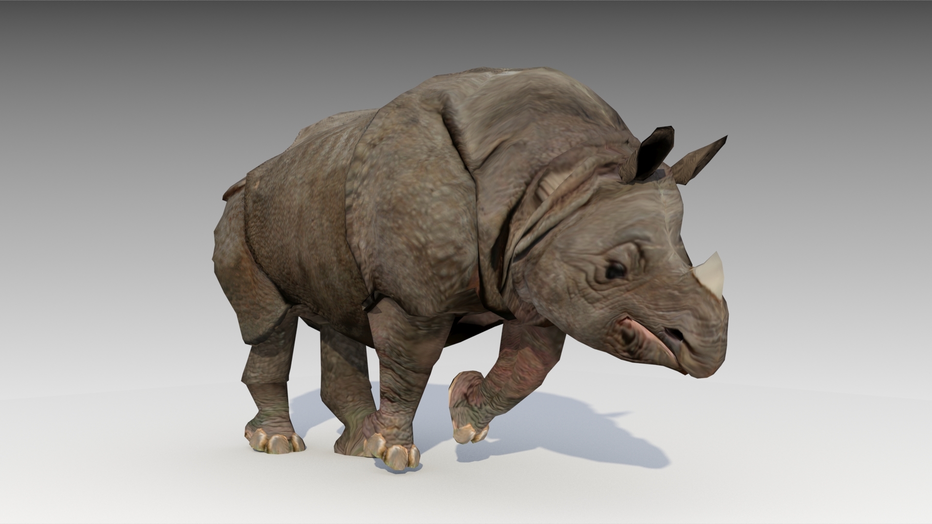 asian rhinoceros animations rhino 3d max