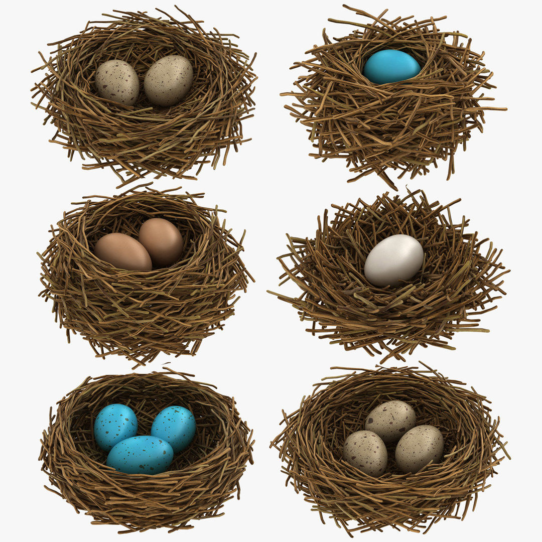 Realistic bird nest 3D model - TurboSquid 1562373