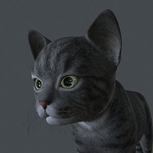 Cat Blender Models for Download | TurboSquid