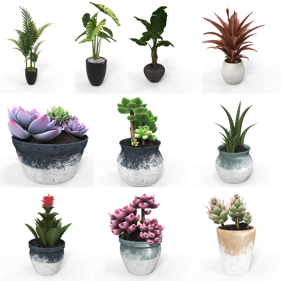 Plant pot 3D model - TurboSquid 1563634