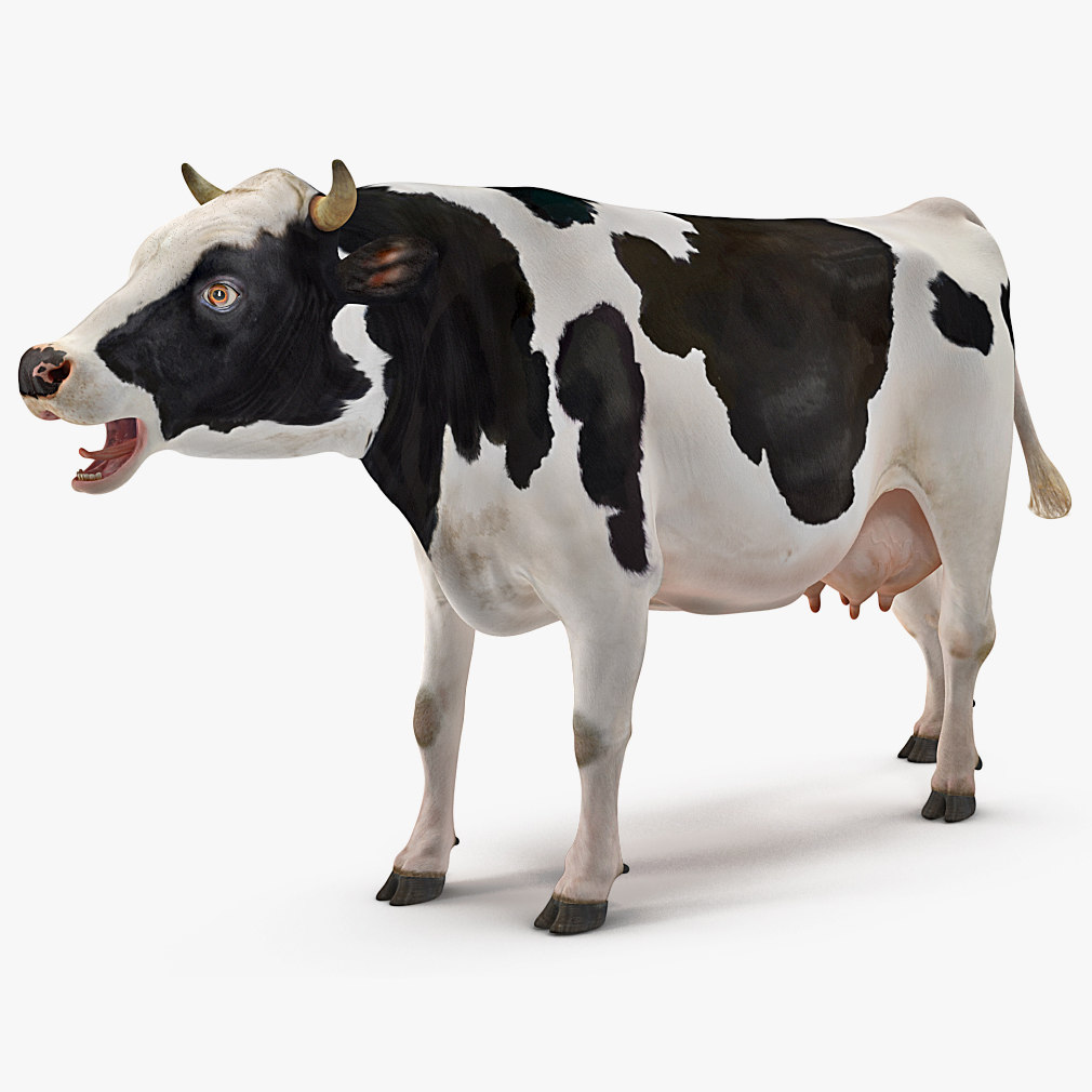 Cow mooing farm animal 3D model - TurboSquid 1564276