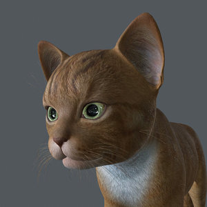 Cat Blender Models for Download | TurboSquid