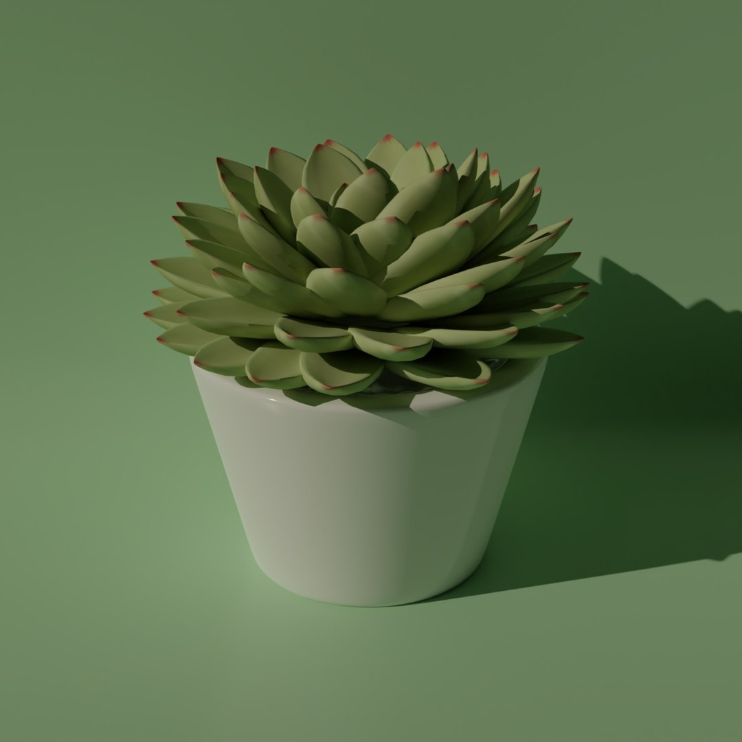 3D succulent plant indoor - TurboSquid 1565623
