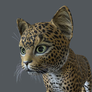 Cat Blender Models for Download | TurboSquid
