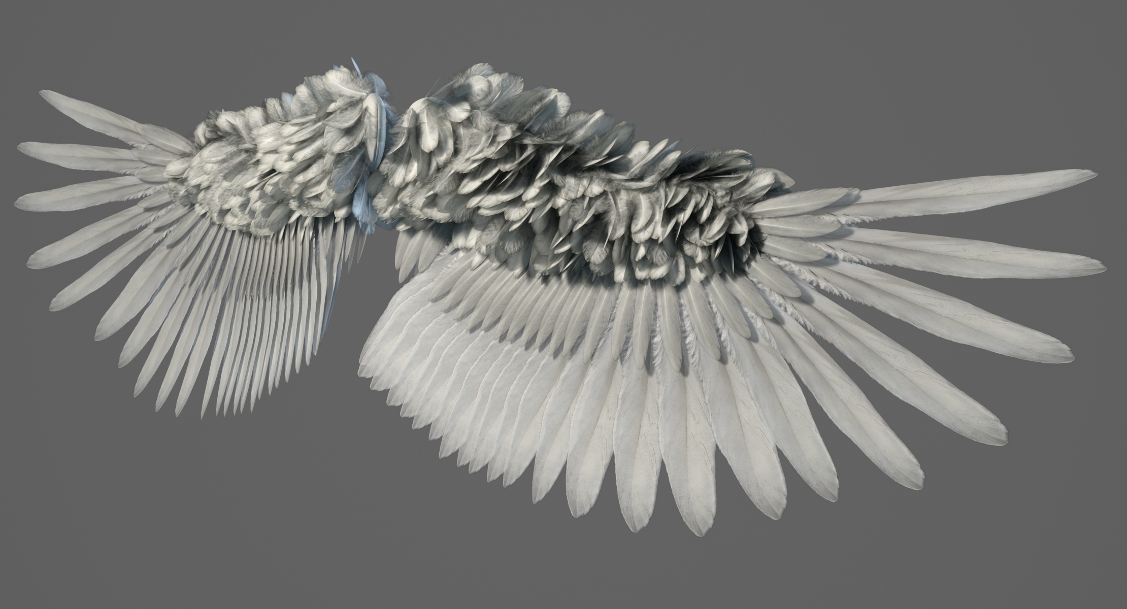 modèle 3D de Ailes d'anges - TurboSquid 1565911