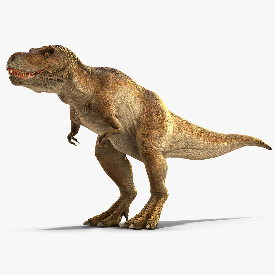 3D tyrannosaurus rex walking animal - TurboSquid 1566265