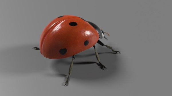 Ladybug animations 3D model - TurboSquid 1566256