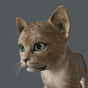 Cat Blender Models for Download | TurboSquid