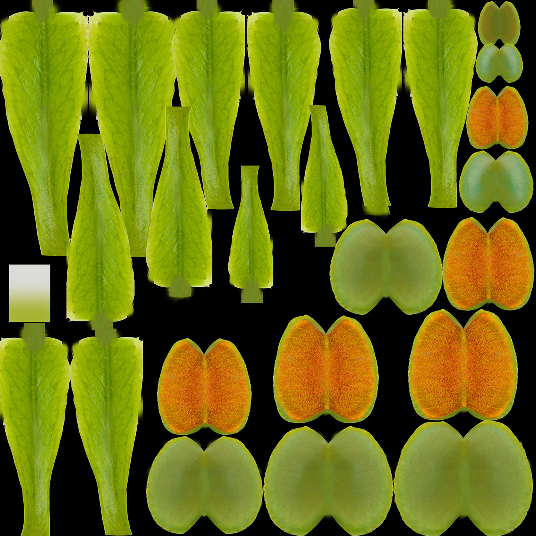 Venus fly trap 3D model - TurboSquid 1566469