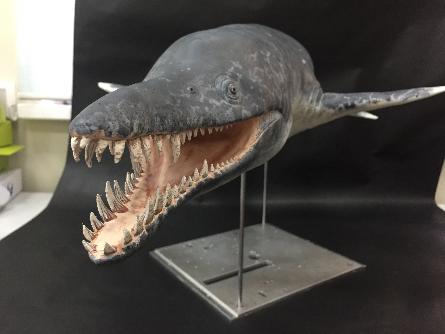 3D pliosaurus atuchin model - TurboSquid 1566863