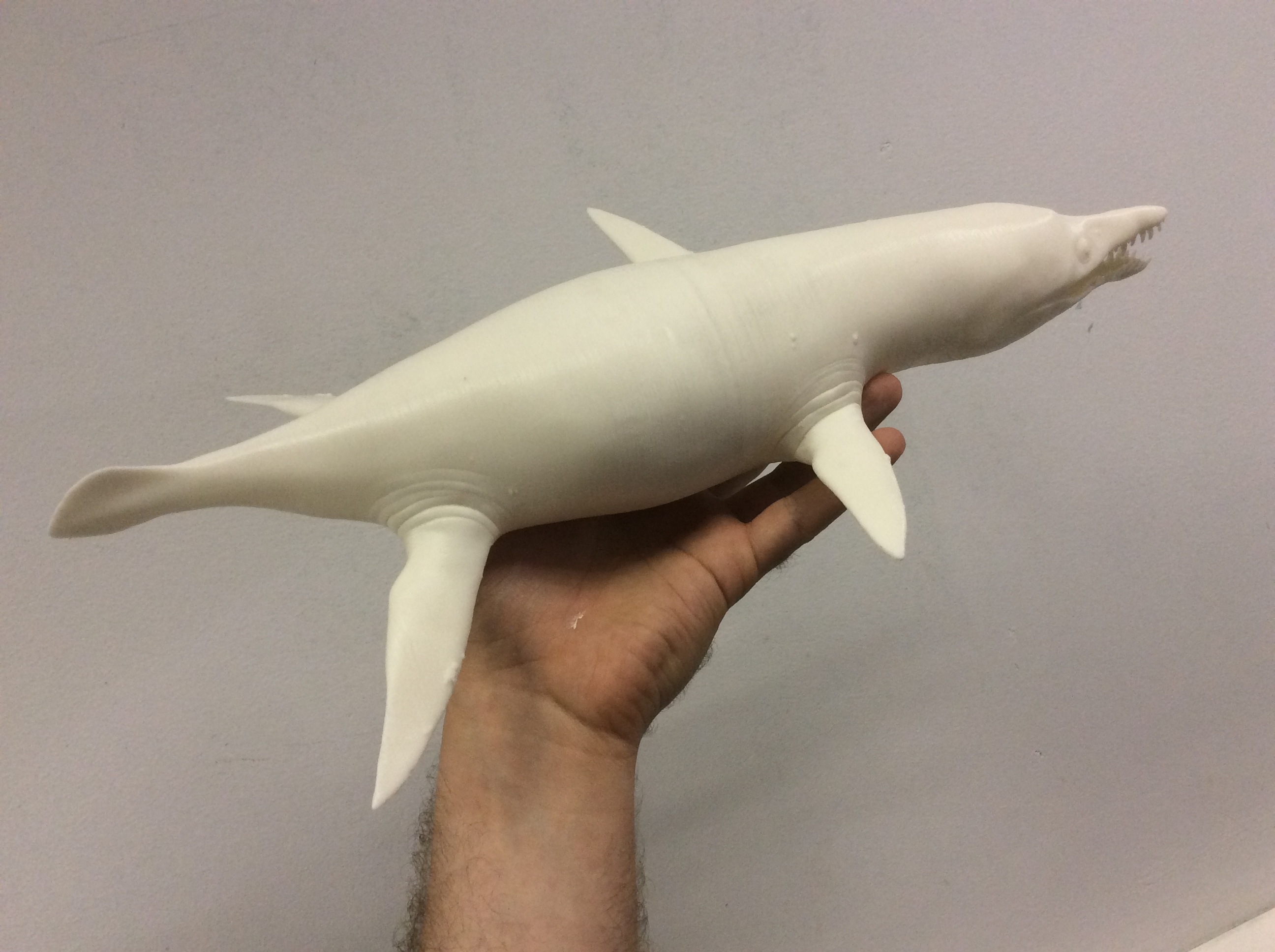 3D pliosaurus atuchin model - TurboSquid 1566863