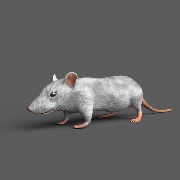 Weiße Low-Poly-Maus 3D-Modell - TurboSquid 1566951