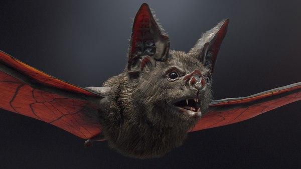 3d vampire bat
