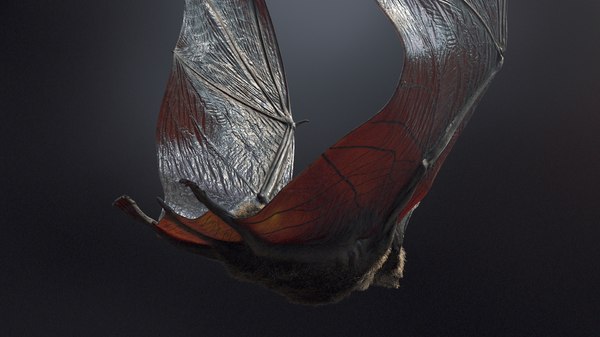 3d vampire bat
