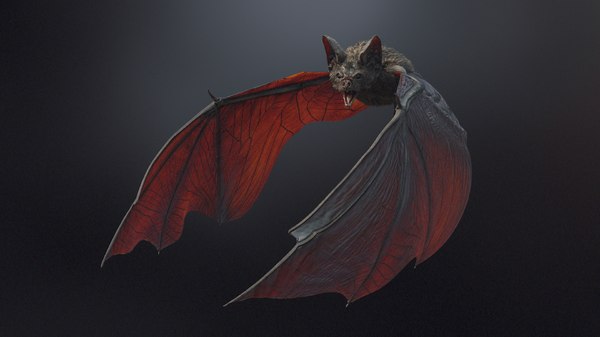 3d vampire bat