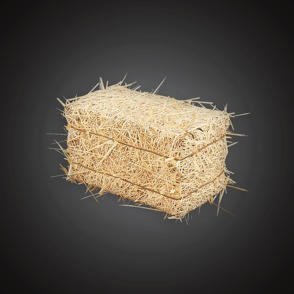 Haystack 3D Models for Download | TurboSquid