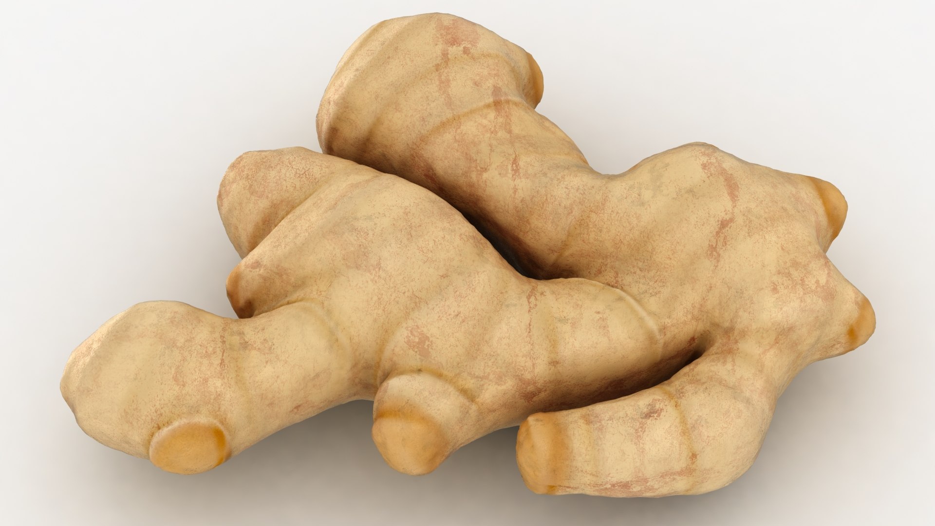 3D model realistic raw ginger root - TurboSquid 1567187