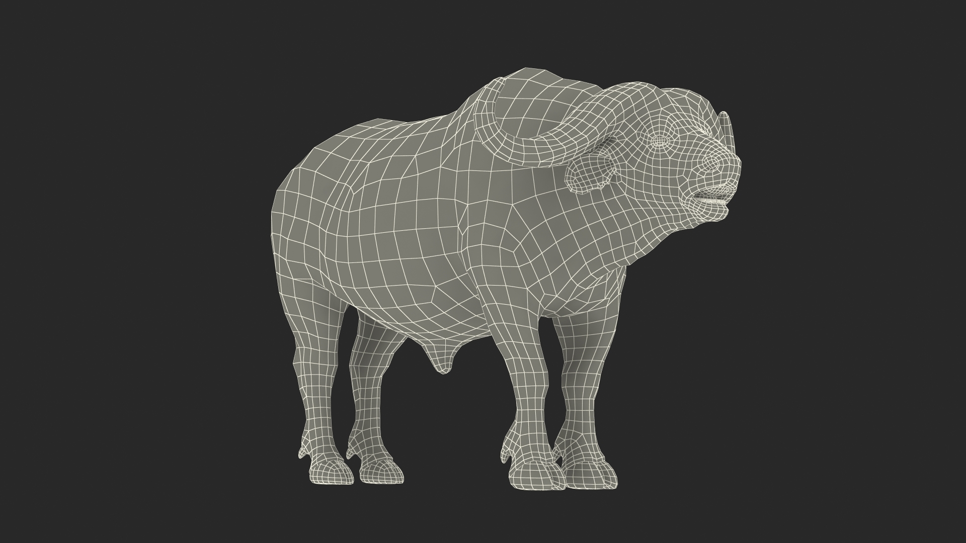 3D cape buffalo african rigged animal model - TurboSquid 1569232