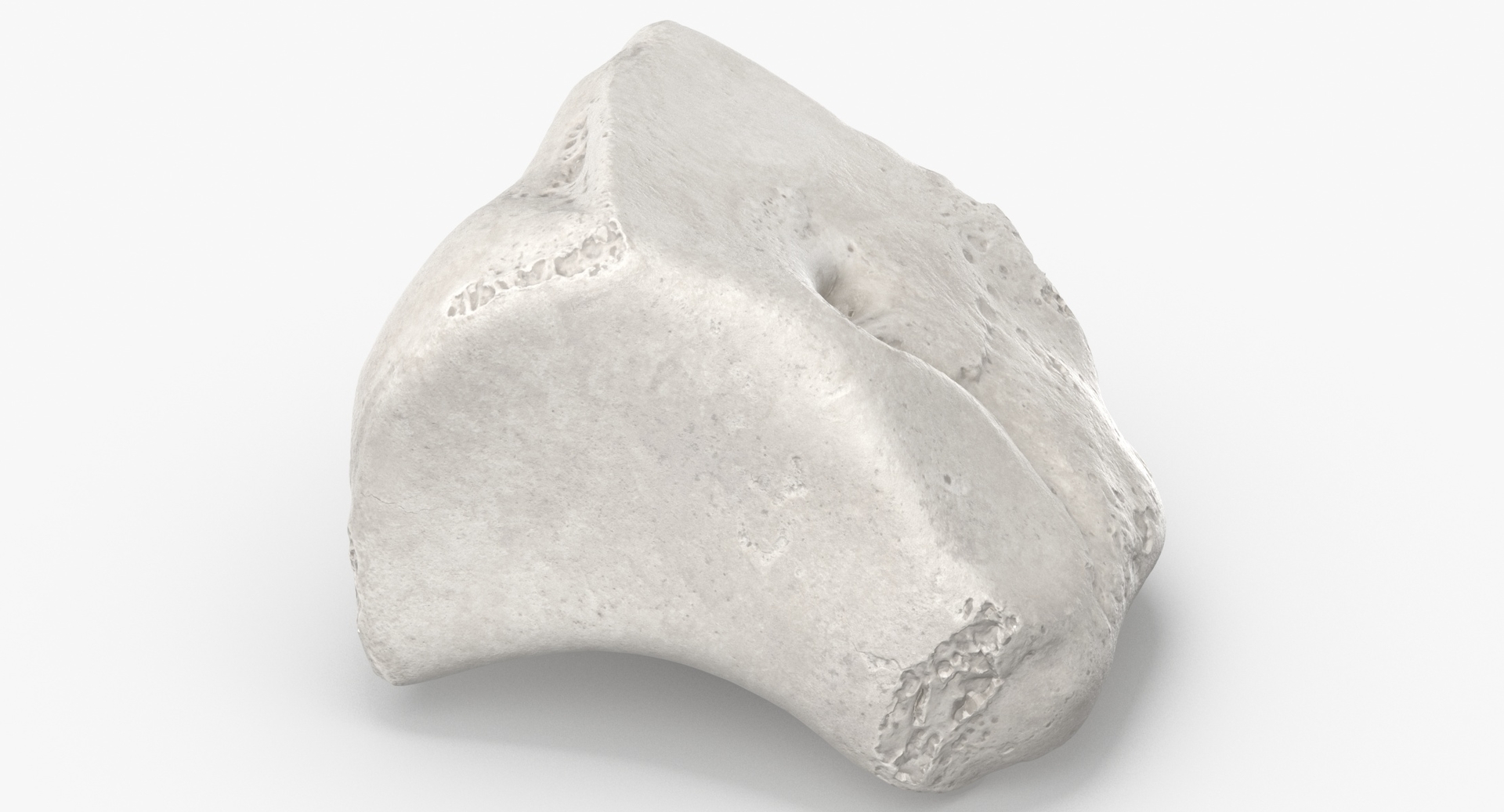 Cuneiform bone lateral 01 3D model - TurboSquid 1567908