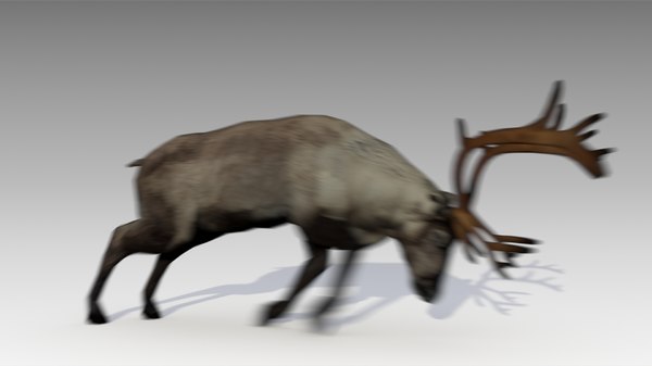 reindeer animations 3d max