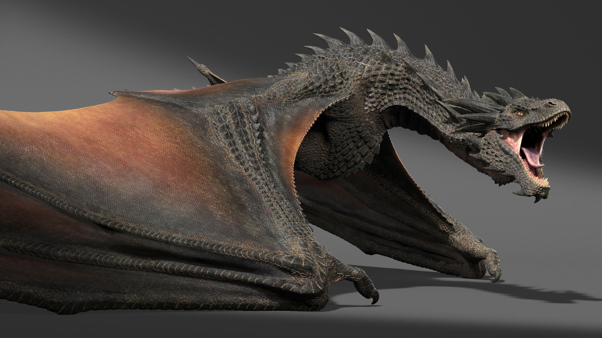 3D dragon rig black - TurboSquid 1569384