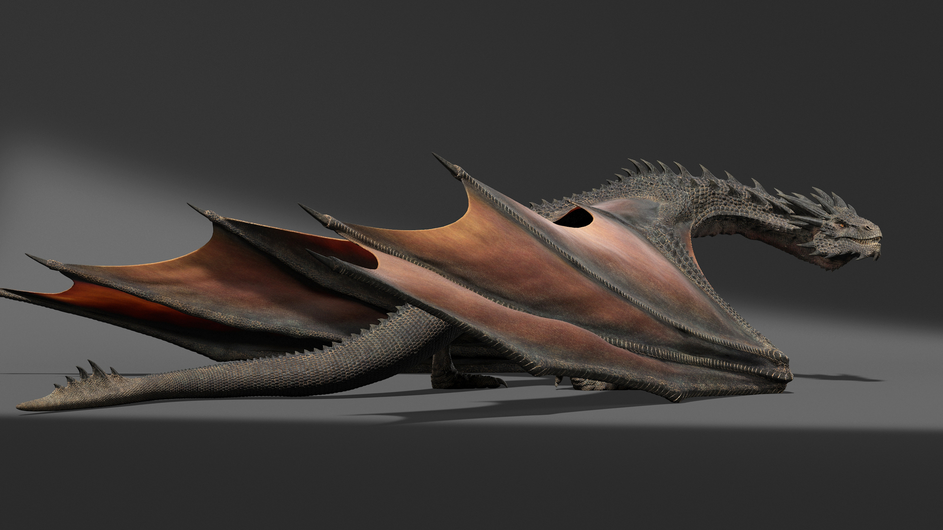 3D dragon rig black - TurboSquid 1569384