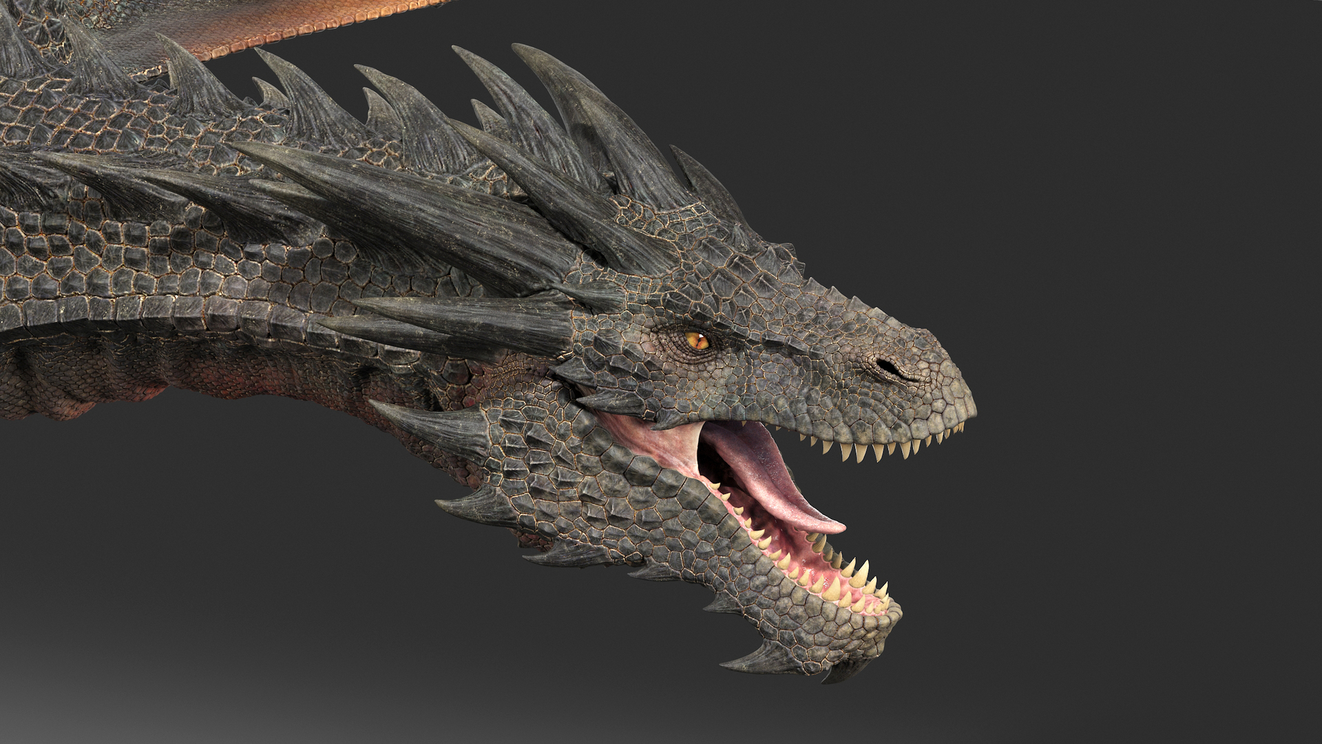 3D dragon rig black - TurboSquid 1569384