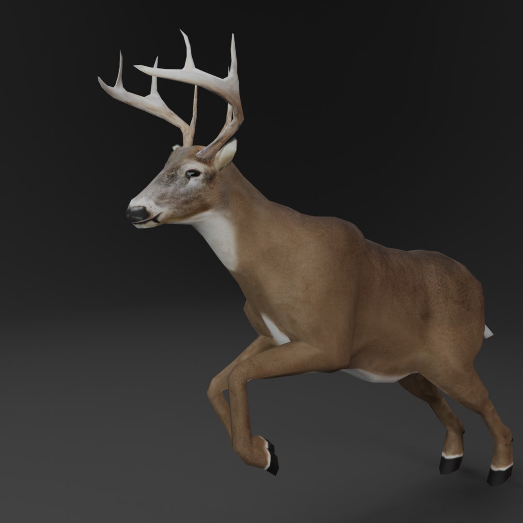 3D rigged low-poly deer animations model - TurboSquid 1554615