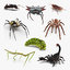 Creeping insects 2 3D model - TurboSquid 1571349