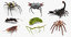 Creeping insects 2 3D model - TurboSquid 1571349