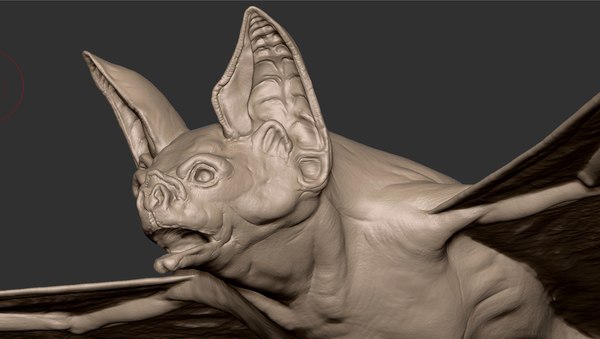 vampire bat 3d model