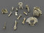Real bones pack 3D model - TurboSquid 1571890