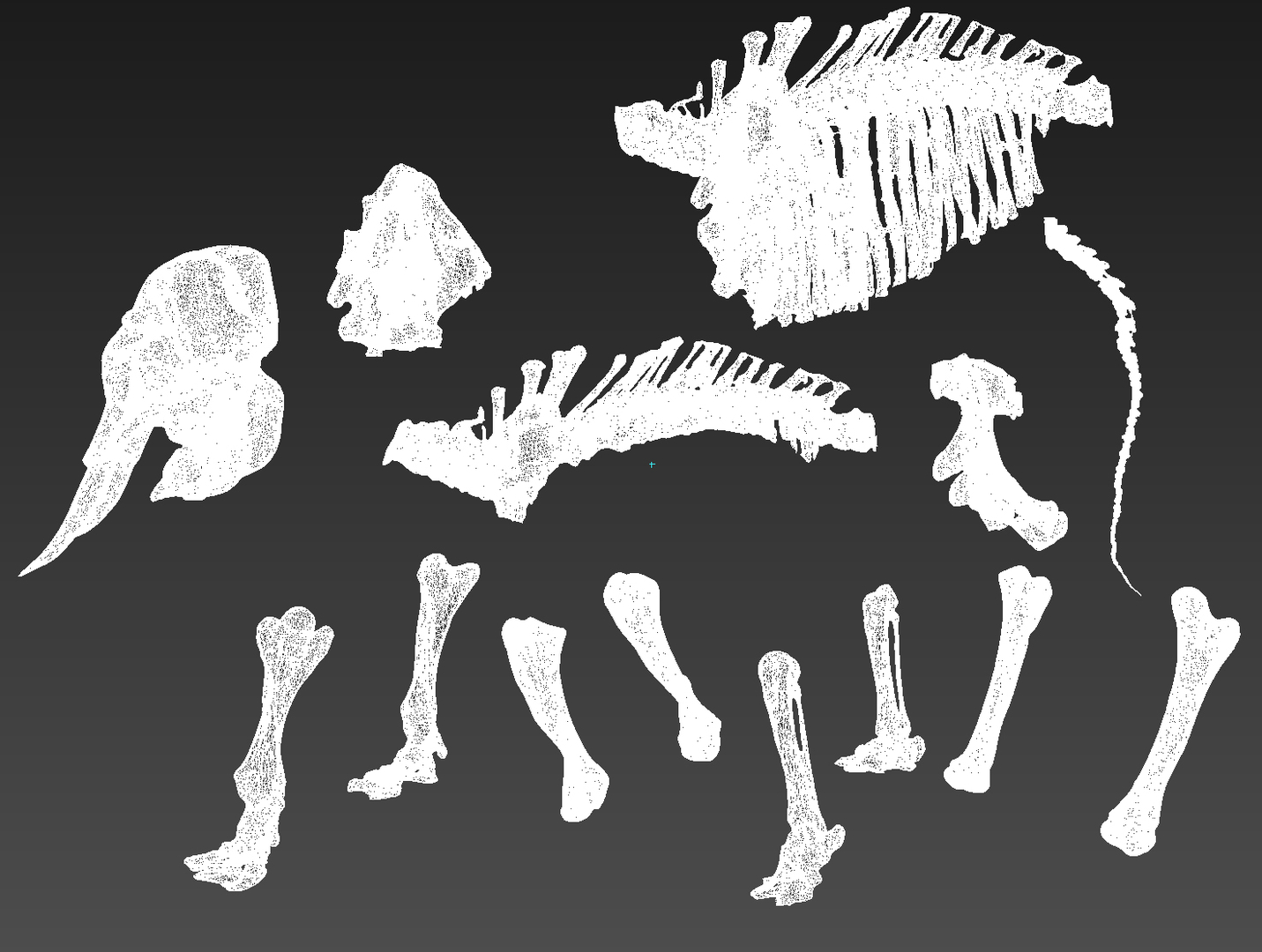 Real bones pack 3D model - TurboSquid 1571890
