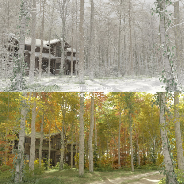 3D Forest Models | TurboSquid