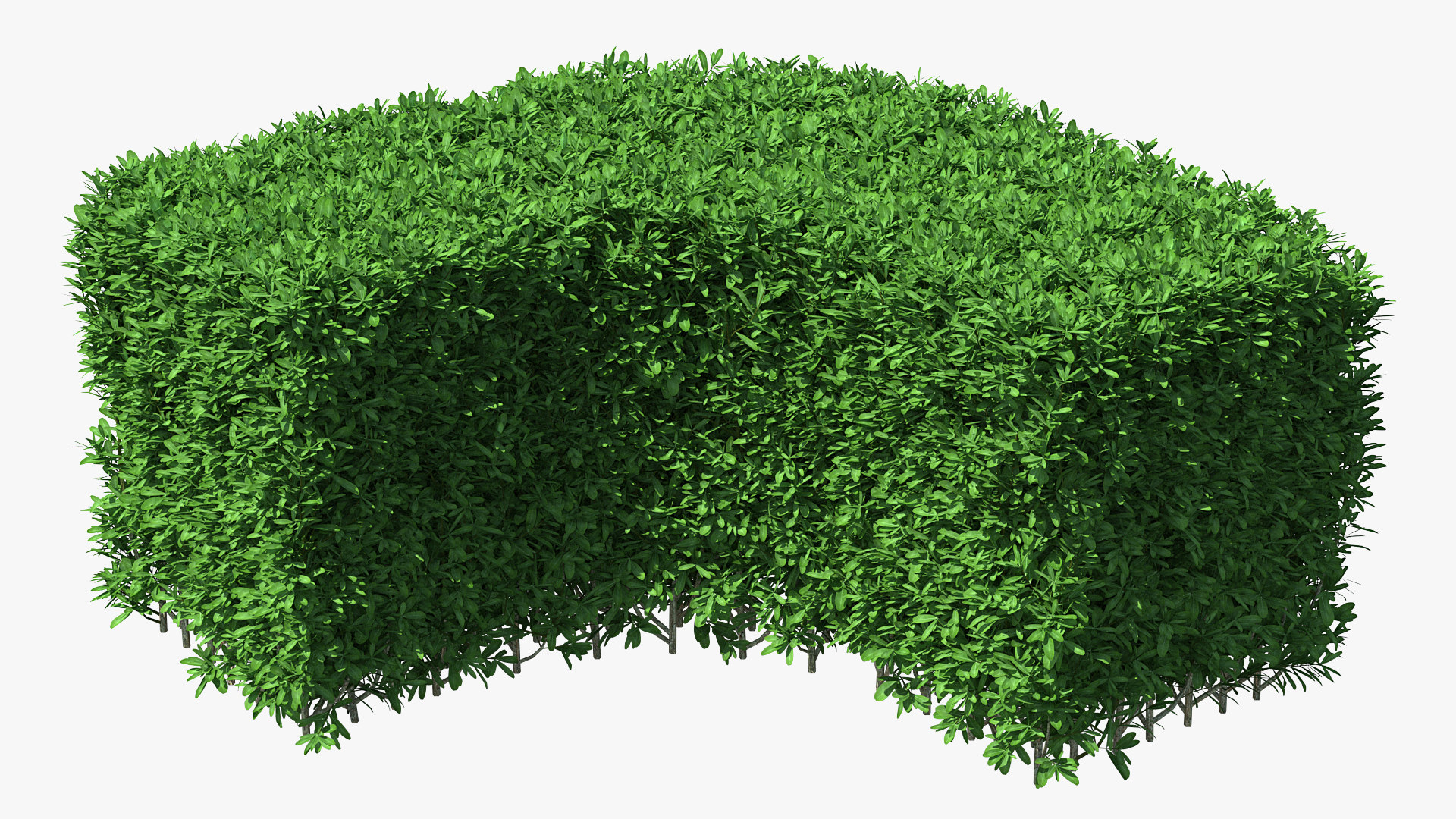 Boxwood corner bush model - TurboSquid 1574953