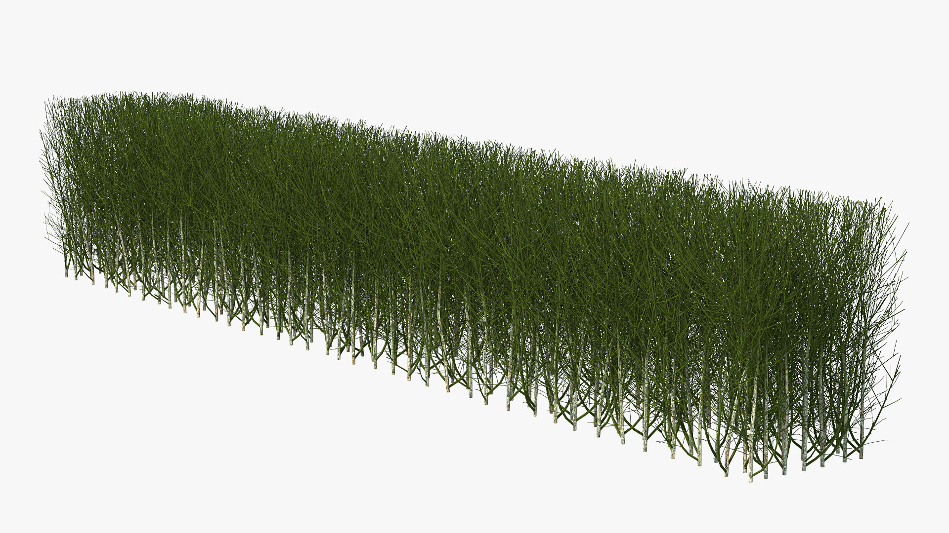 Shrub branch fence 3D model - TurboSquid 1575157